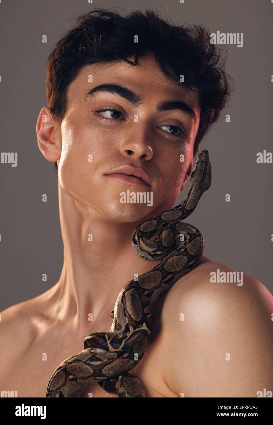 Model, face and man with snake in studio on gray background for beauty ...
