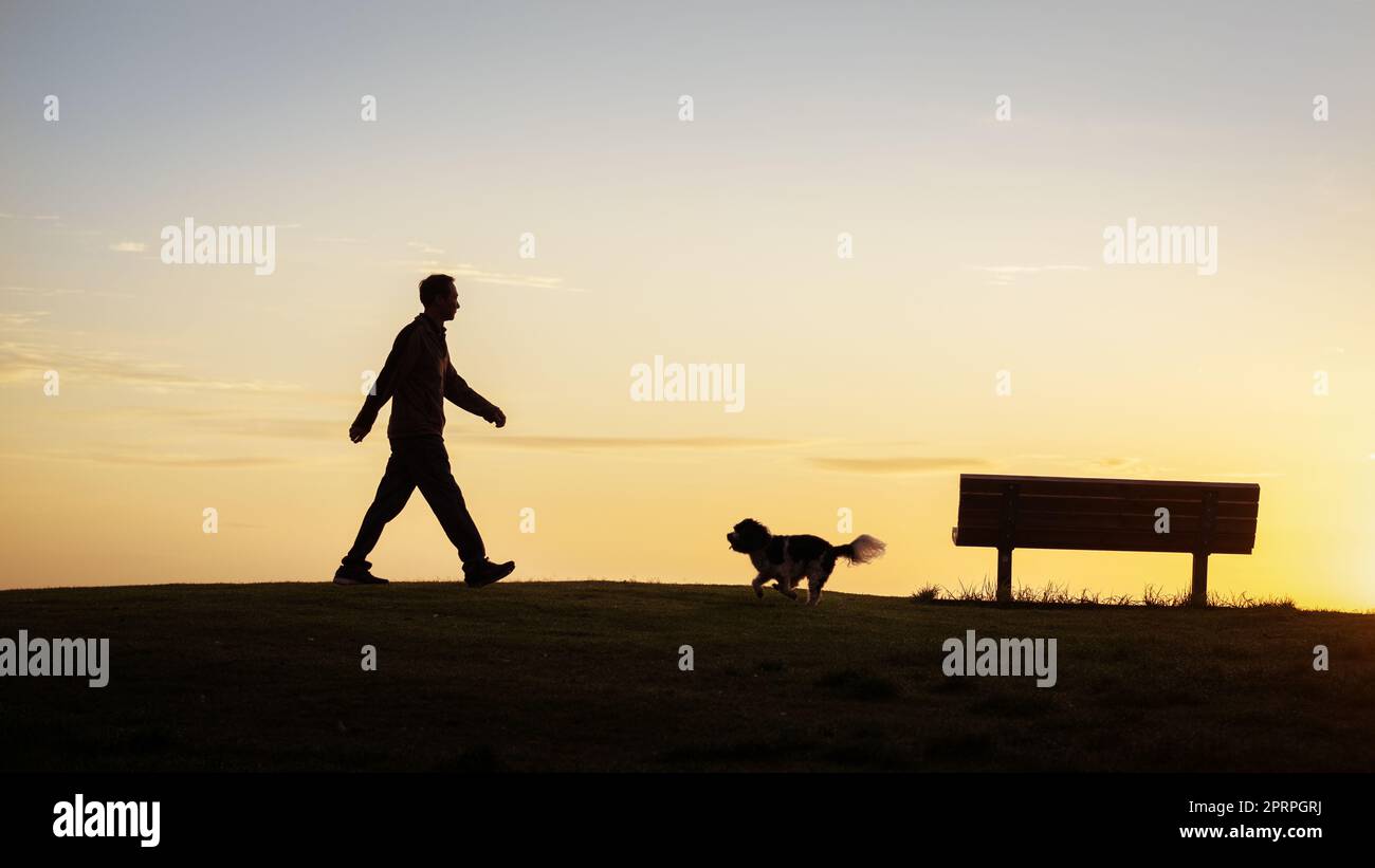Man walking dog sunrise hi-res stock photography and images - Alamy