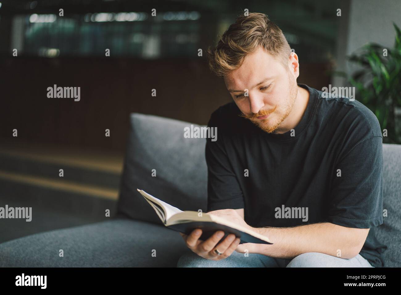 Christian man holds holy bible in hands. Reading the Holy Bible in a ...