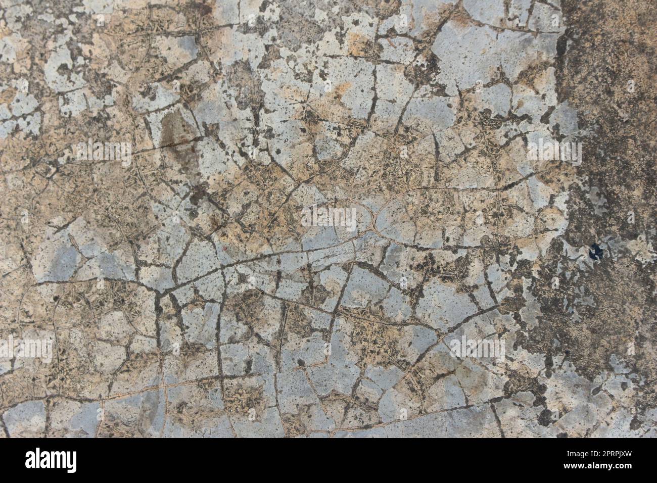 Gray cement concrete wall with cracks and mold texture background Stock ...