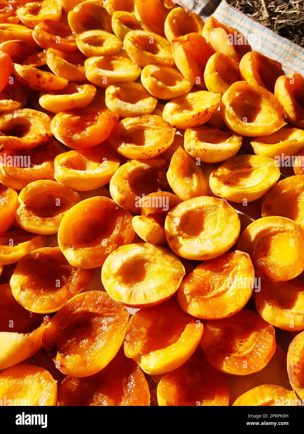 Close up ripe apricots hi-res stock photography and images - Alamy