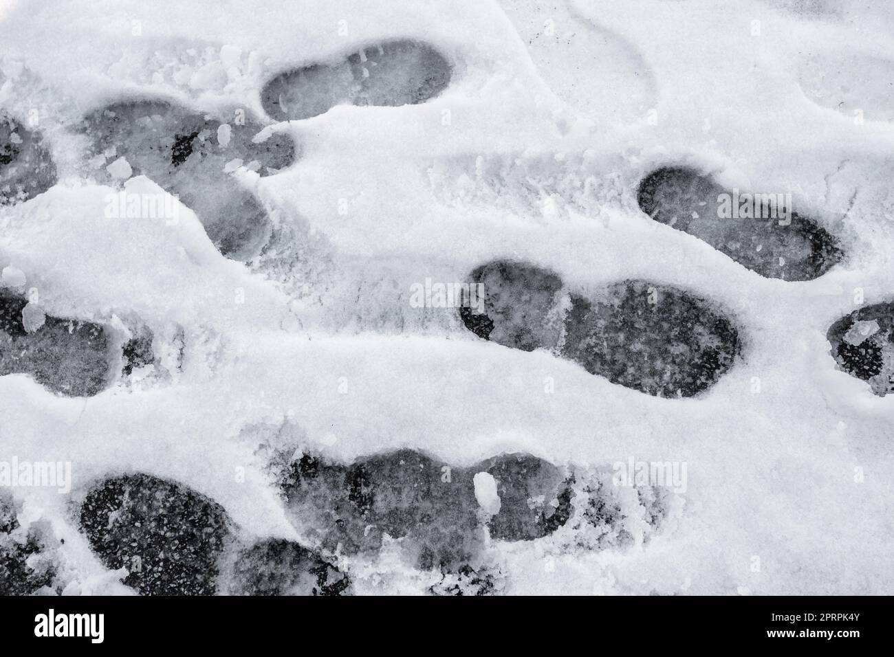 Human footprints in snow hi-res stock photography and images - Alamy