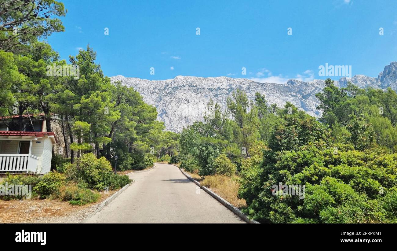 Biokovo Mountain Nature park and trees from Makarska Riviera-Biokovo ...