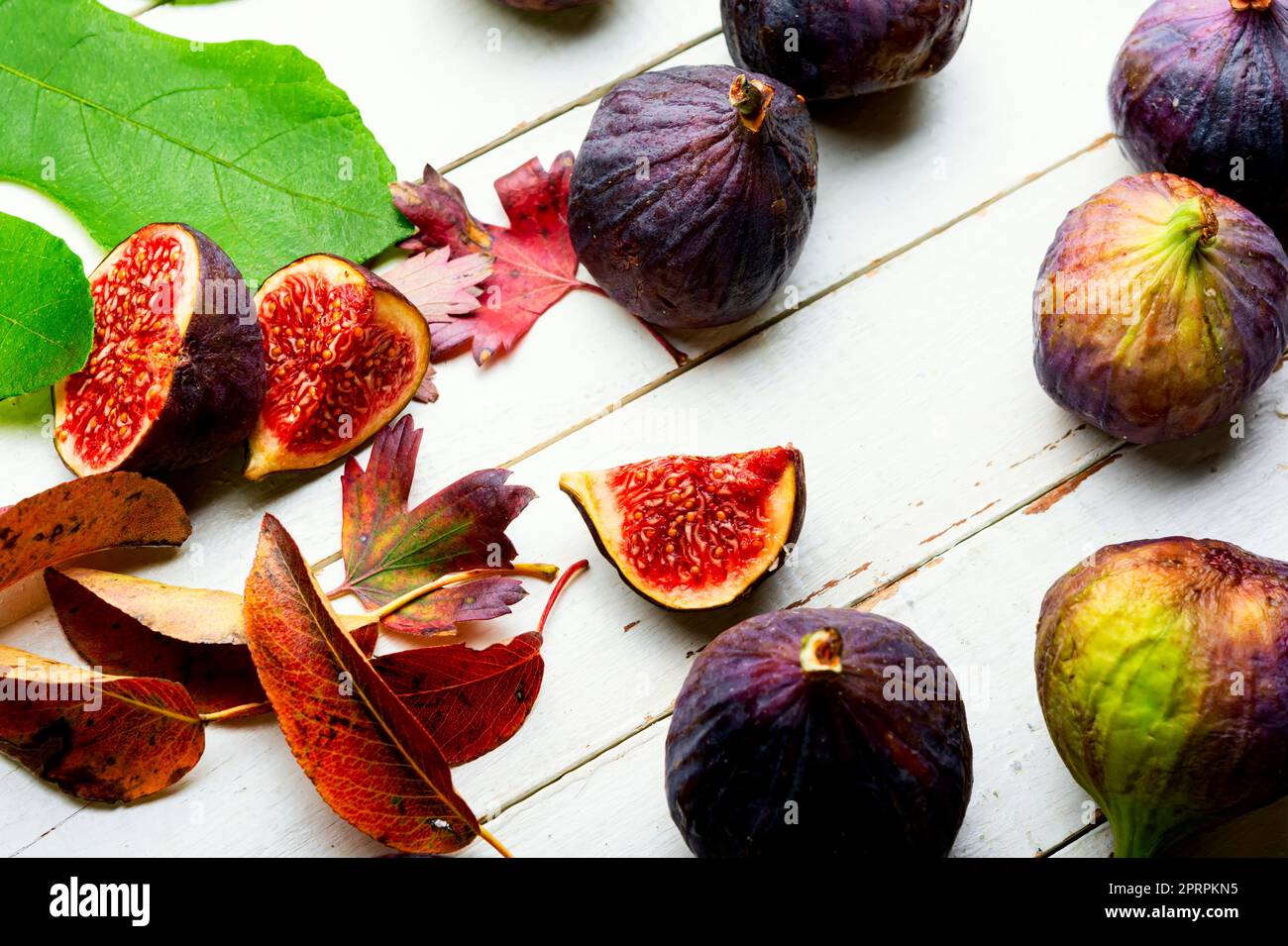 Harvest fresh ripe figs Stock Photo - Alamy