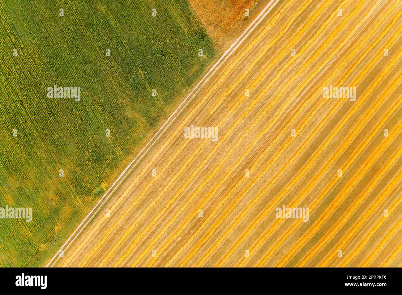 Flat grass texture hi-res stock photography and images - Alamy