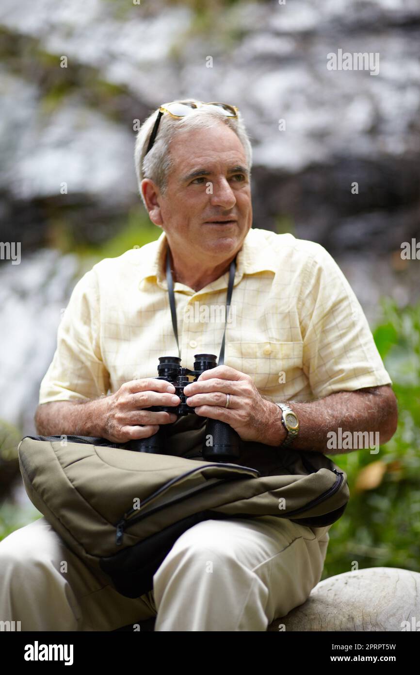 Person watching birds hi-res stock photography and images - Alamy