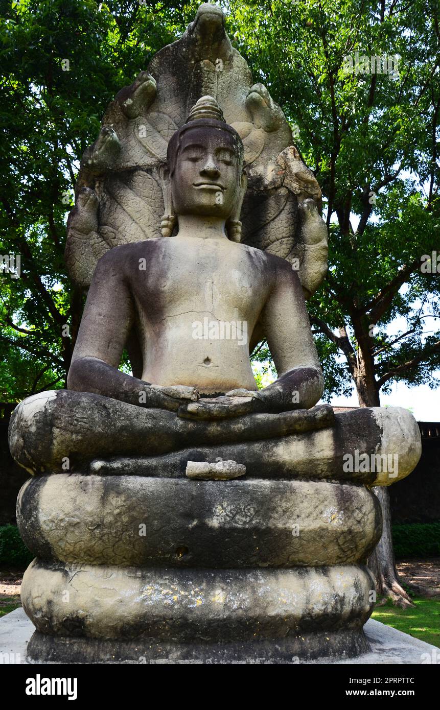 Ancient buddha attitude of meditation protected cover head by mythical ...