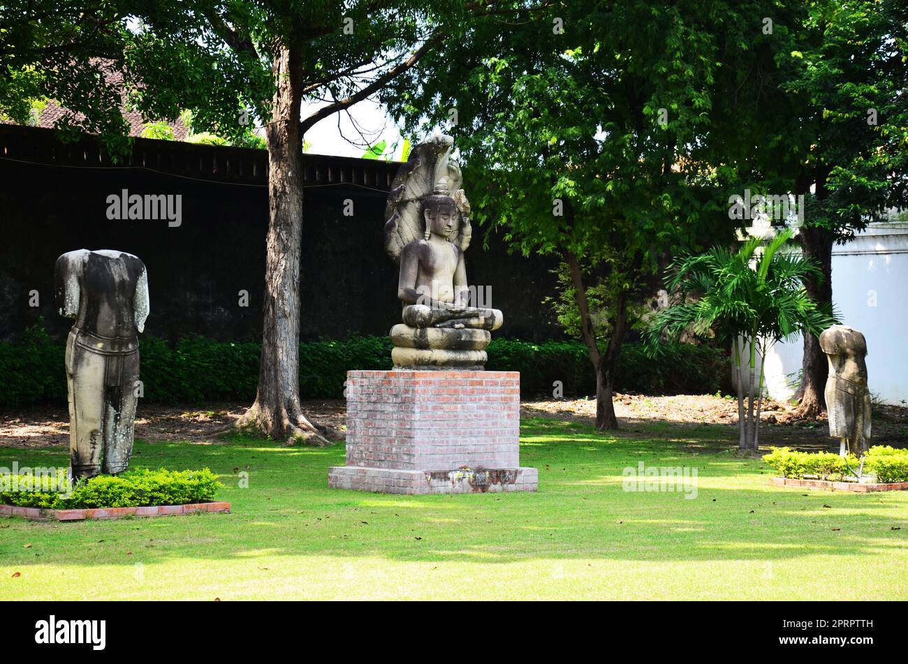 Ancient buddha attitude of meditation protected cover head by mythical ...