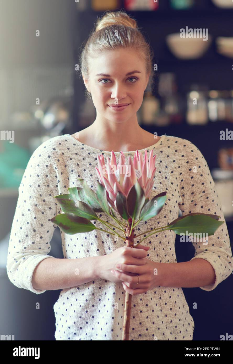 Fynbos flower hi-res stock photography and images - Alamy