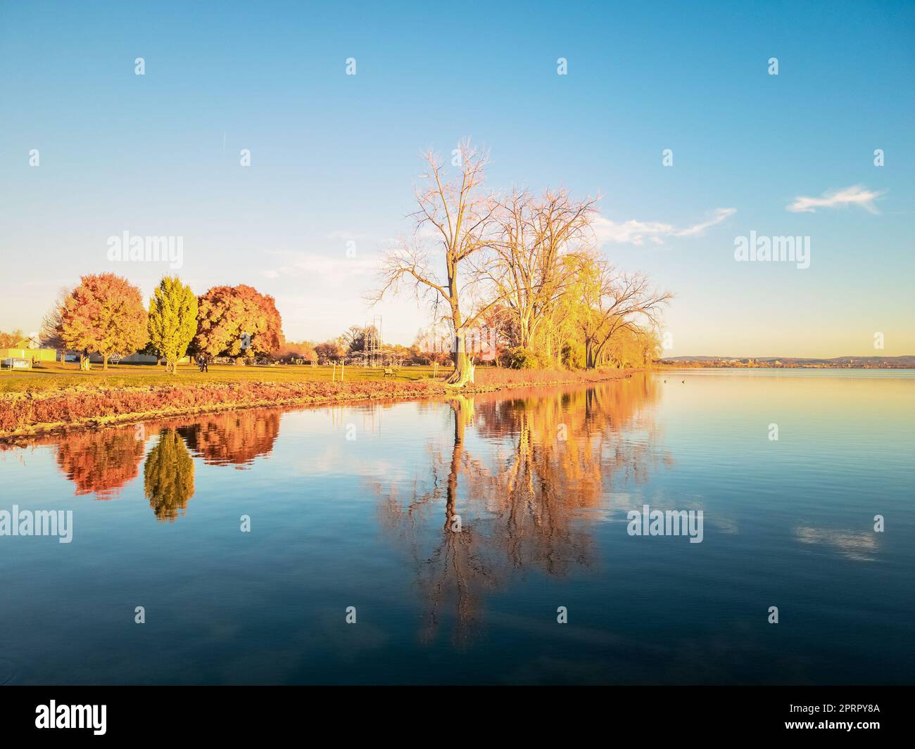 Beautiful tree view onondaga hi-res stock photography and images - Alamy