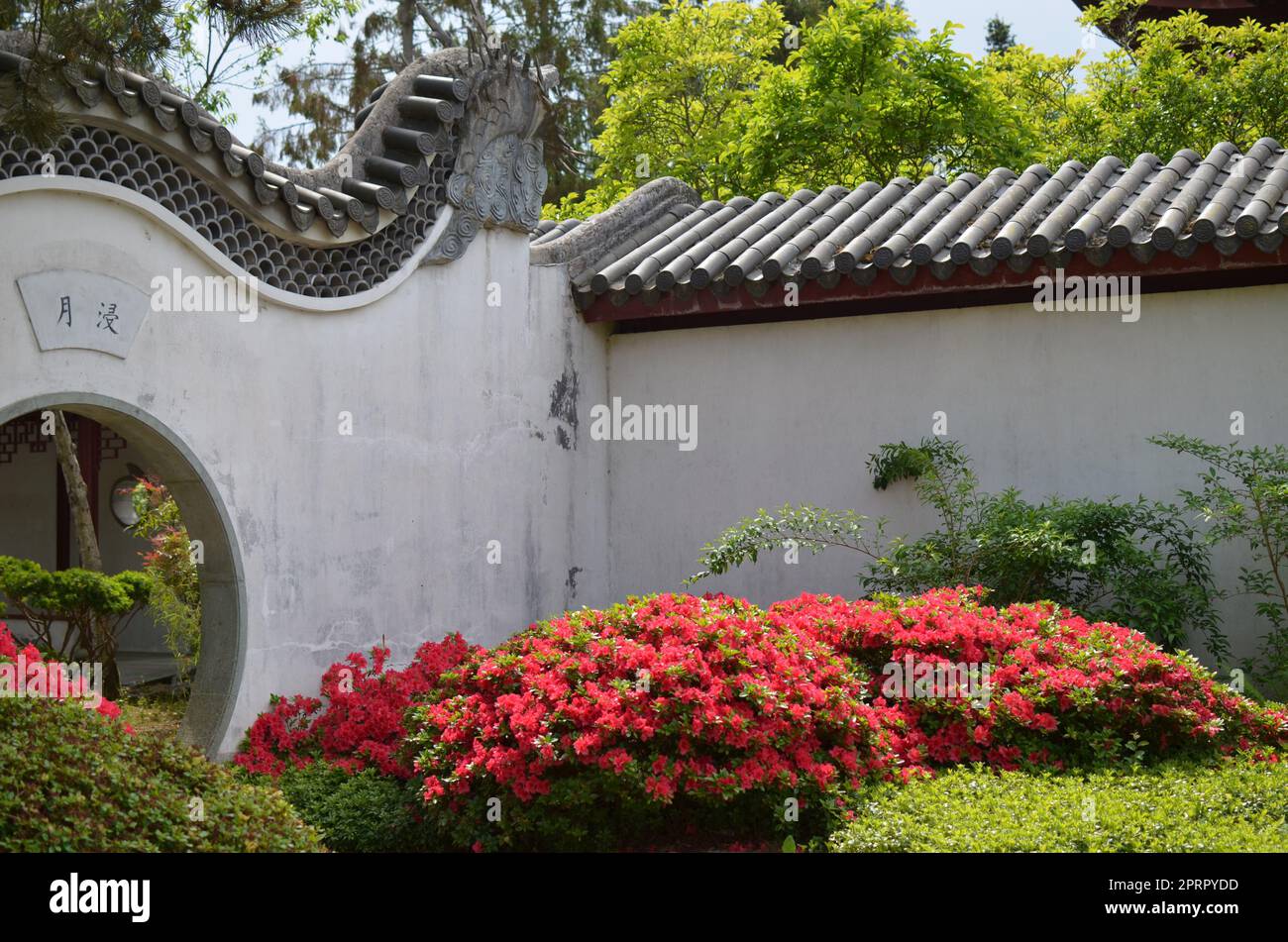 HAREN, NETHERLANDS - MAY 23, 2022: Beautiful view of blooming bushes ...