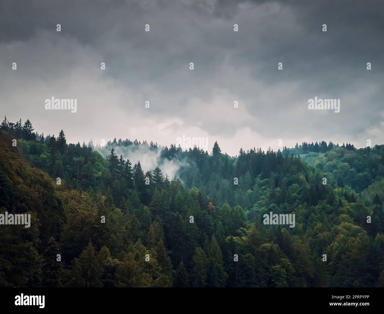 Peaceful fall scene in Carpathian mountains with mixed forest on top of ...