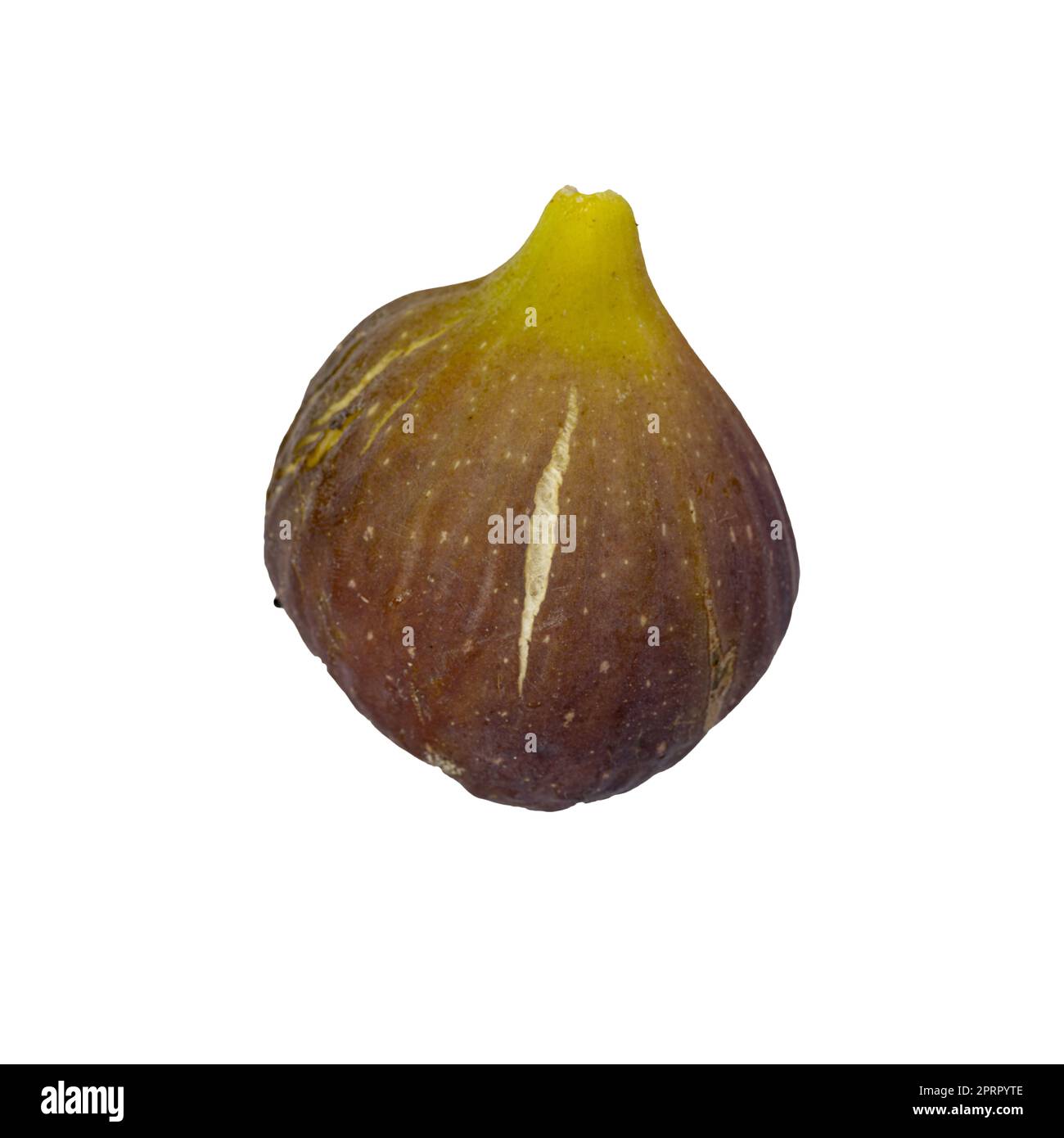 a ripe fig on a transparent background Stock Photo - Alamy