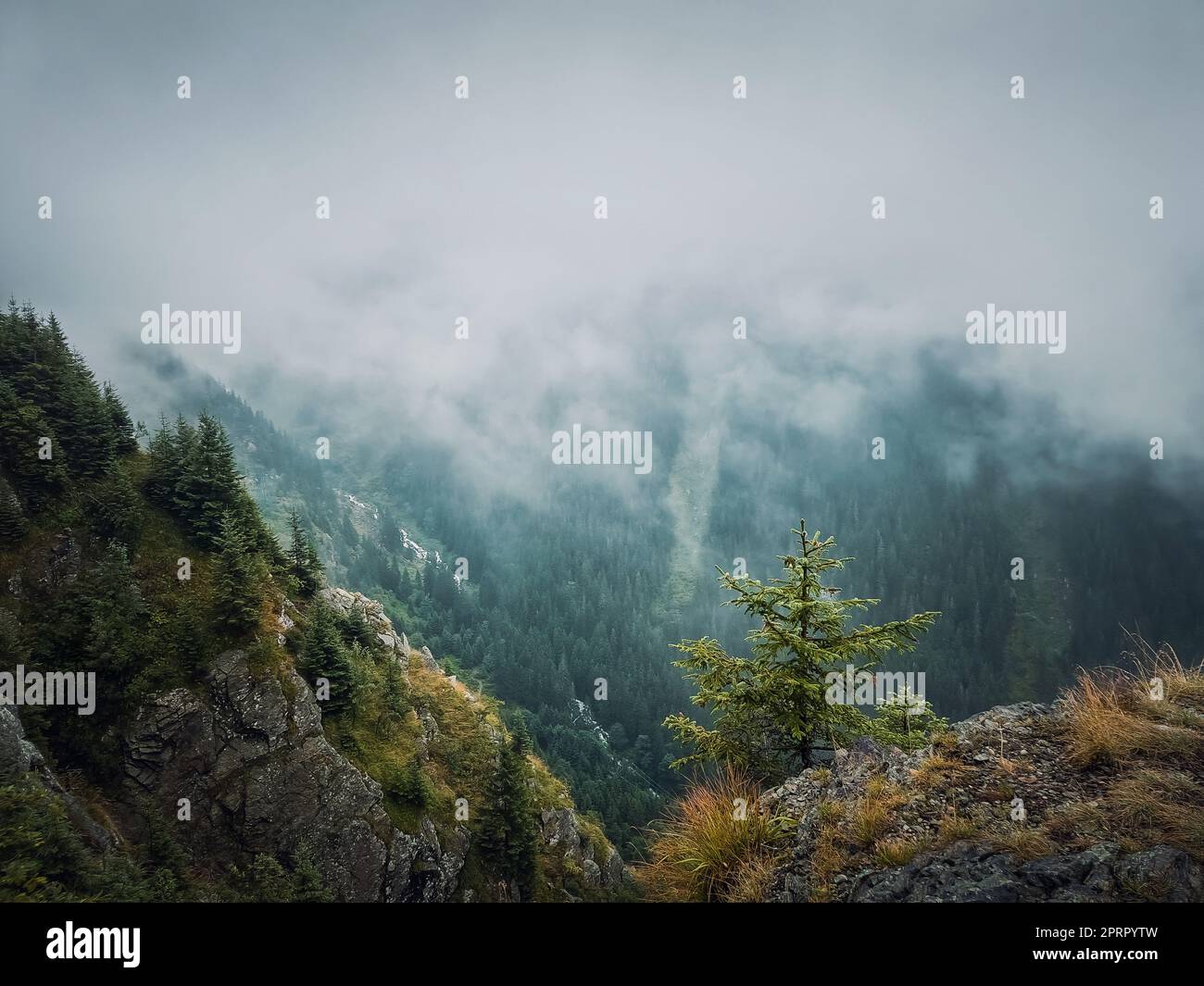 Wonderful view to the misty valley from the top of the mountain. Foggy ...