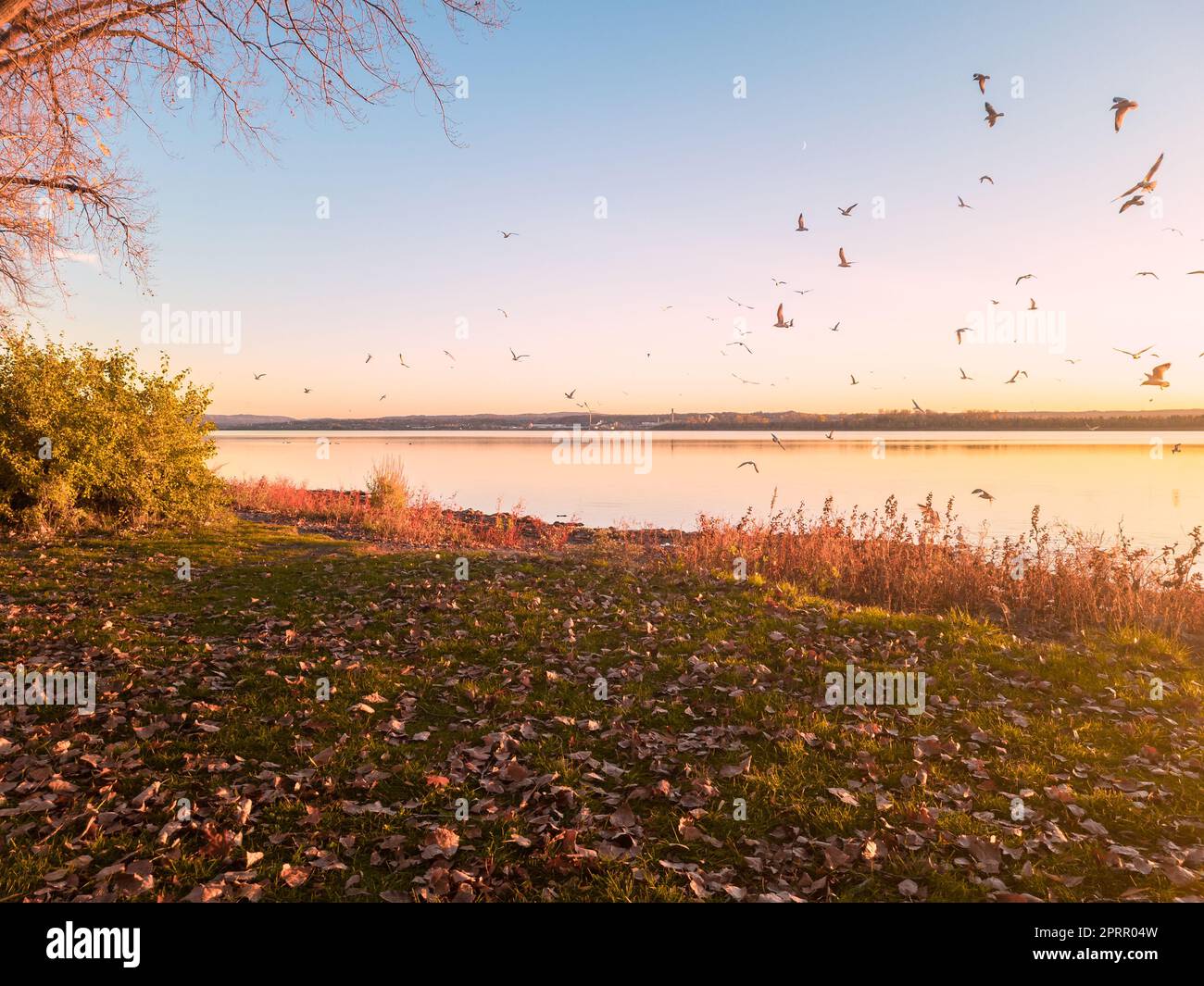 Landscape View of Sunset at Onondaga Lake with Seagulls Flying All Over ...