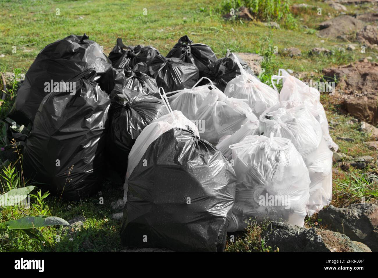 Many trash bags full of garbage outdoors. Environmental Pollution ...