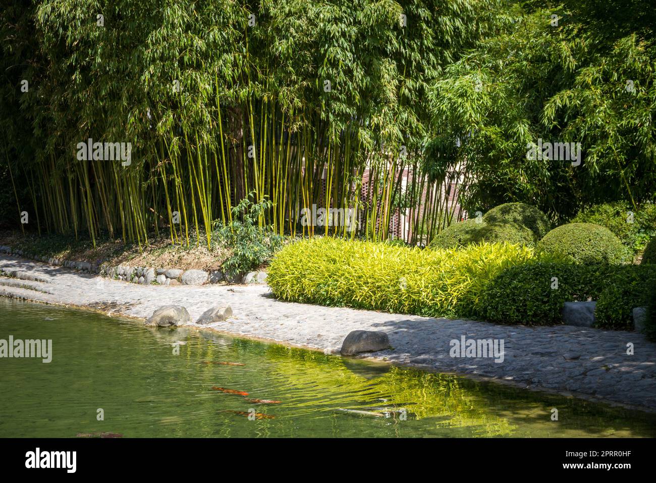 Pond in a japanese garden Stock Photo - Alamy
