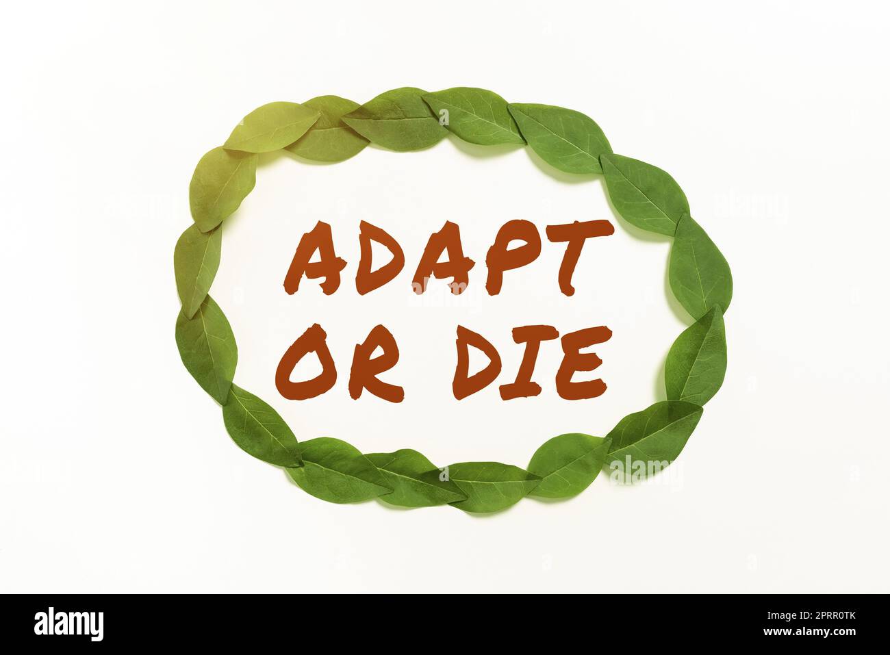 Text caption presenting Adapt Or Die. Internet Concept Be flexible to ...
