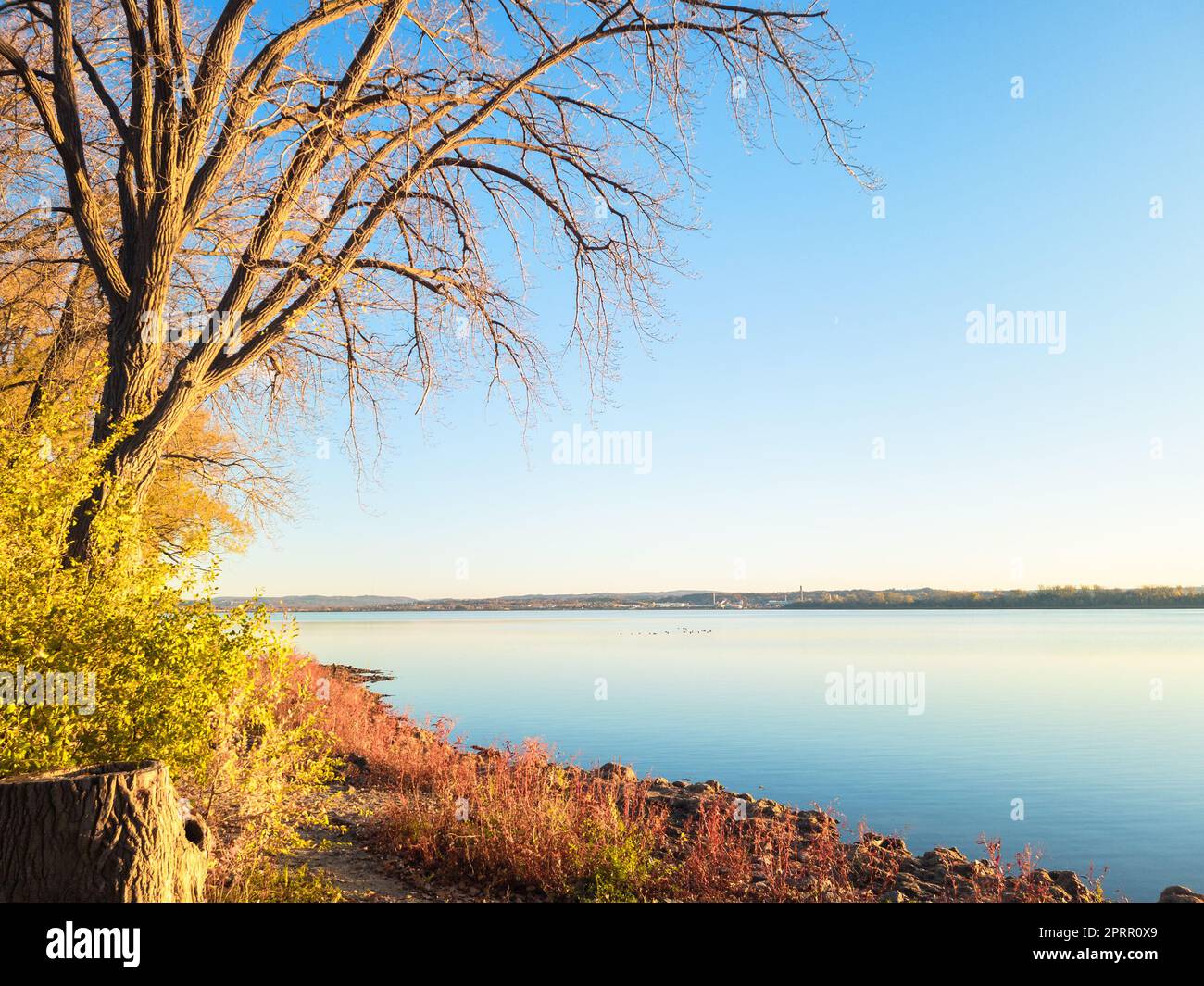 Beautiful tree view onondaga hi-res stock photography and images - Alamy