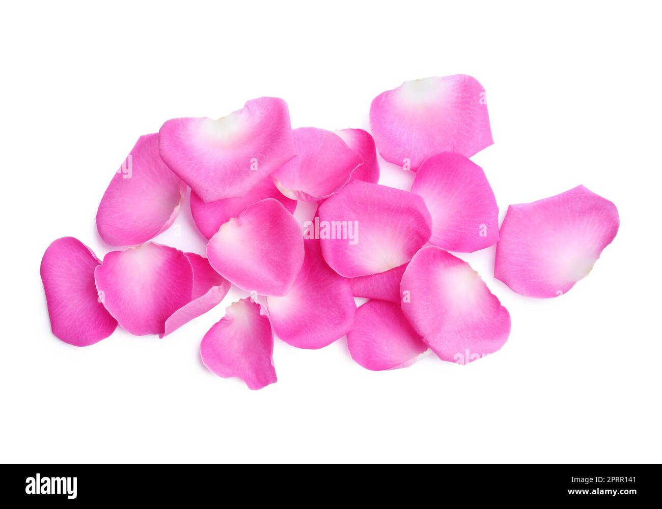 White rose petals top view Cut Out Stock Images & Pictures - Alamy