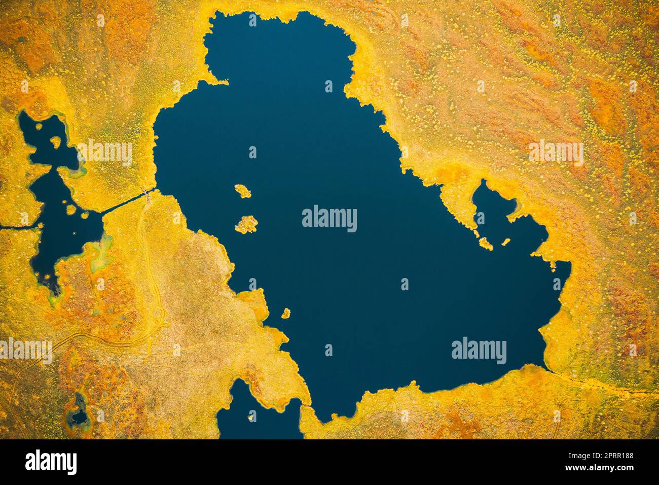 Miory District, Vitebsk Region, Belarus. The Yelnya Swamp. Upland And ...