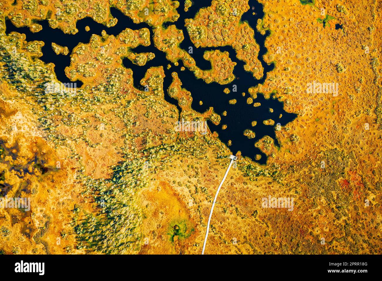 Miory District, Vitebsk Region, Belarus. The Yelnya Swamp. Aerial View ...