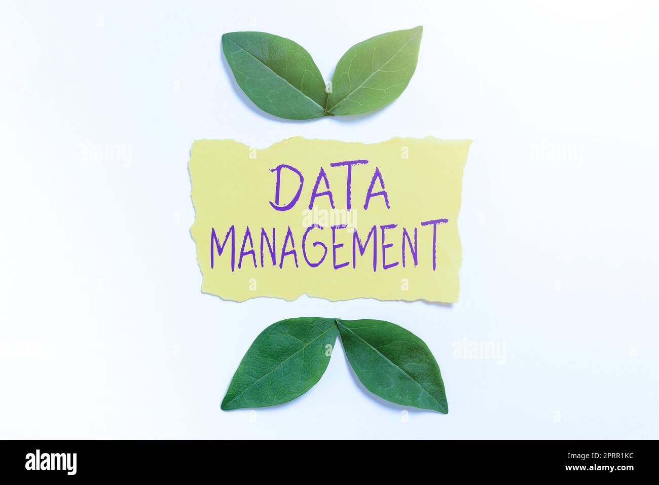 Sign displaying Data ManagementThe practice of organizing and maintaining data processes ...