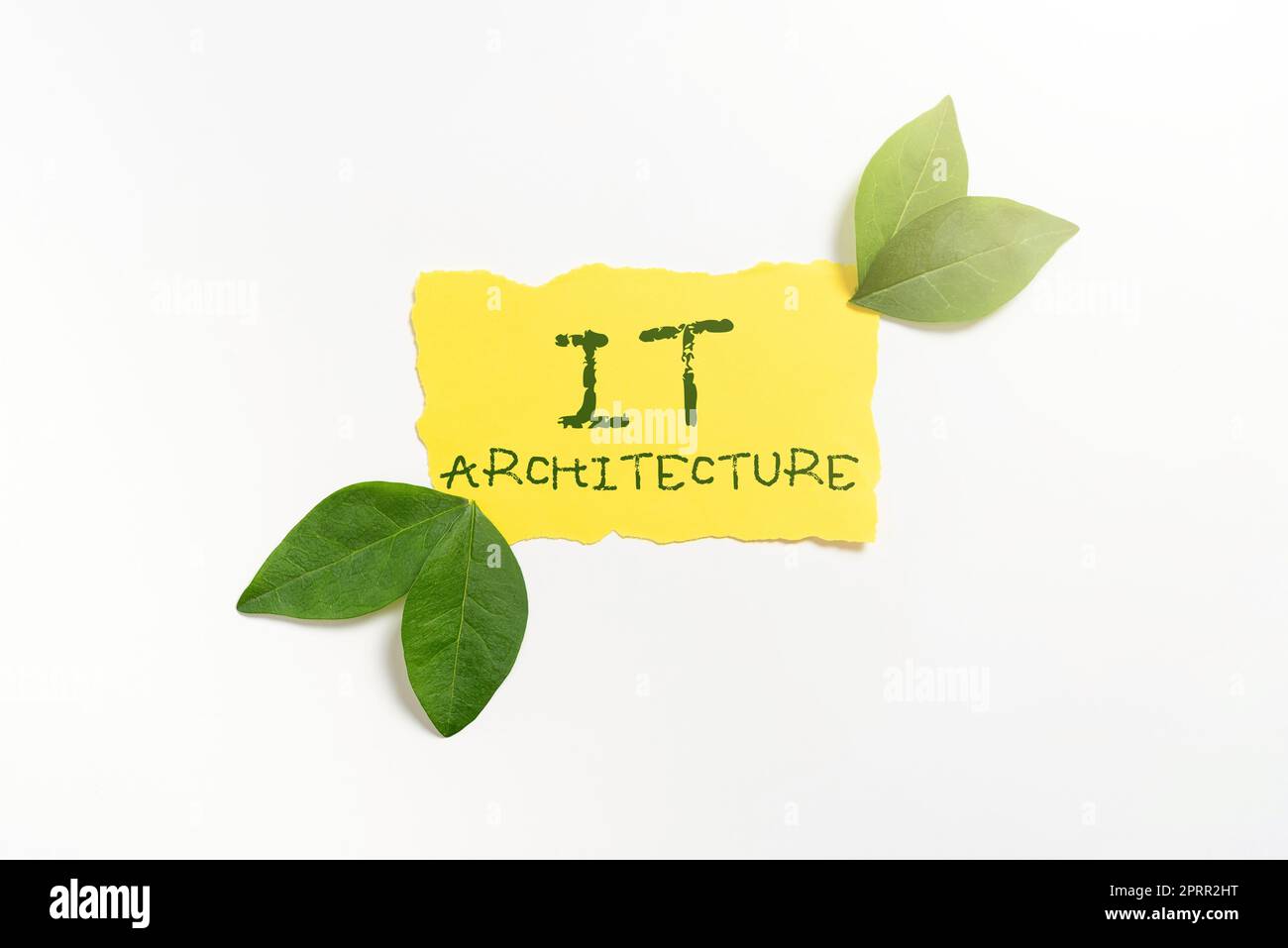 Conceptual display It ArchitectureArchitecture is applied to the ...