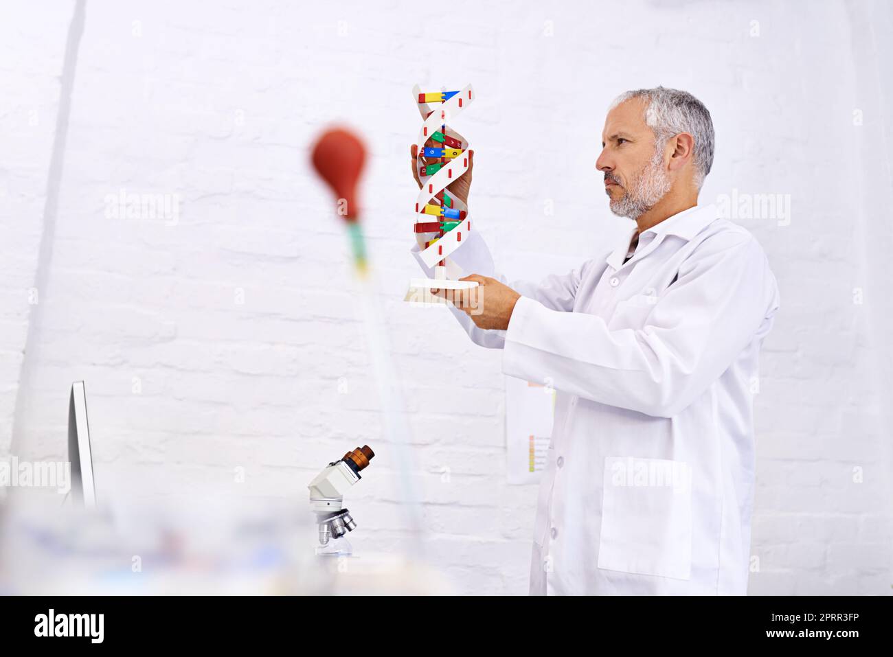 Dna molecule model hi-res stock photography and images - Alamy