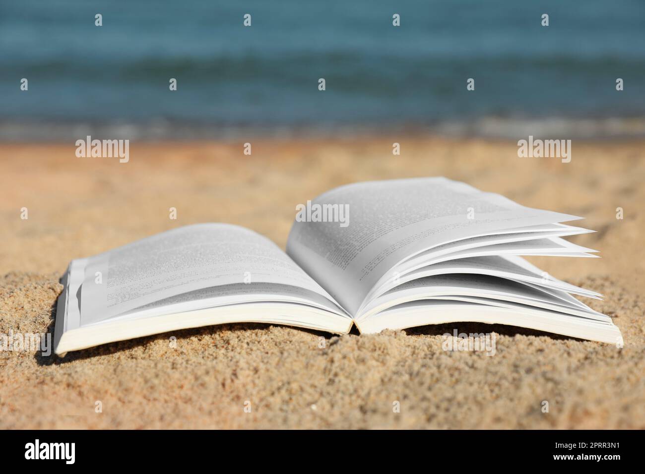 Beach book library hi-res stock photography and images - Alamy