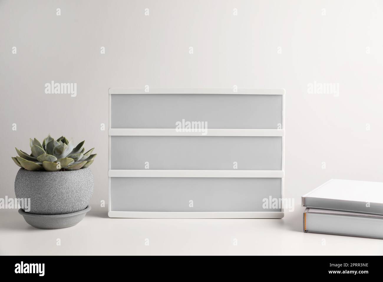 Blank letter board, books and beautiful houseplant on white table ...