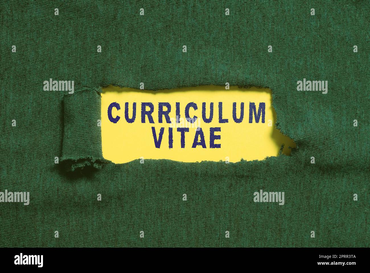 Conceptual caption Curriculum Vitae, Business overview customers ...