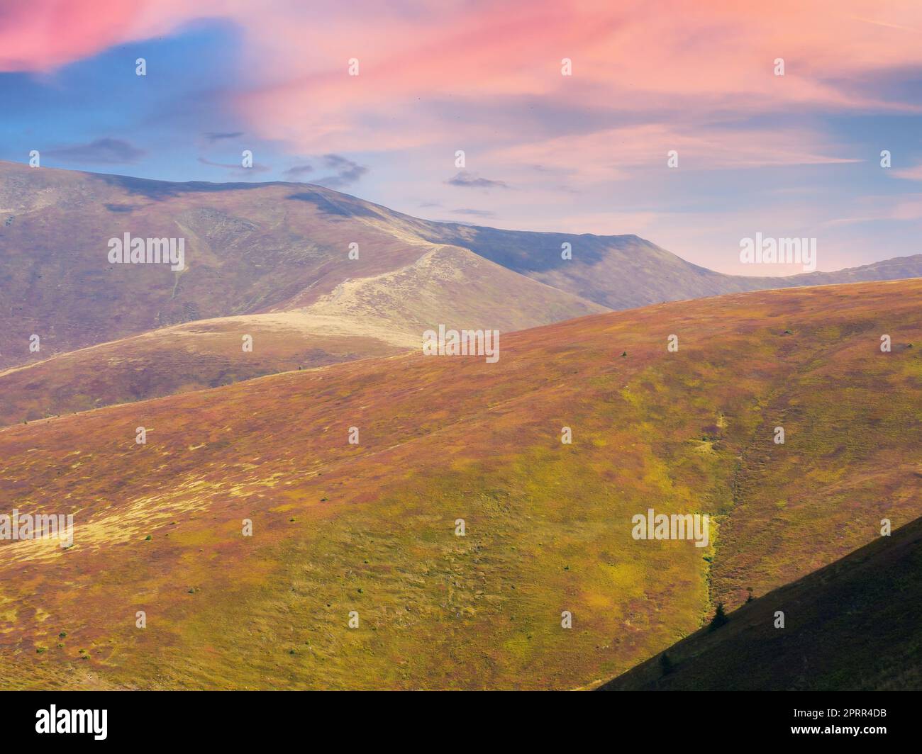 mountainous landscape in late summer. rolling hills in yellow and ...