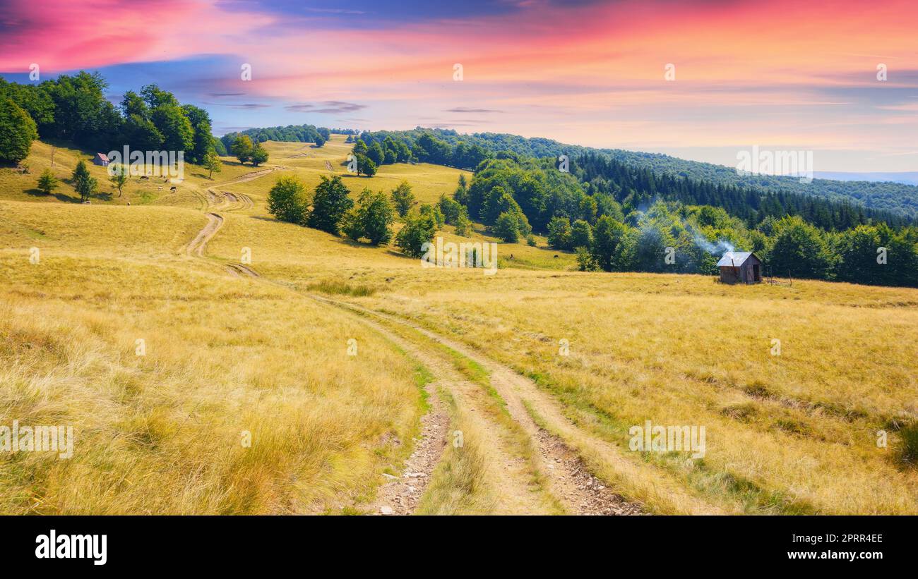 path through hills and grassy meadows. mountainous summer landscape at ...
