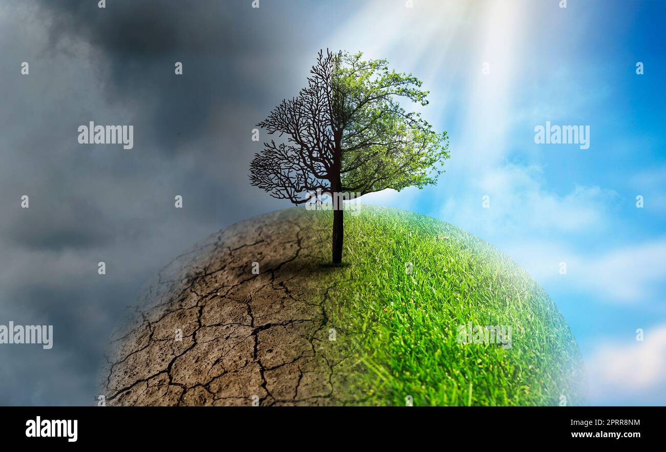 Tree half alive half dead hi-res stock photography and images - Alamy