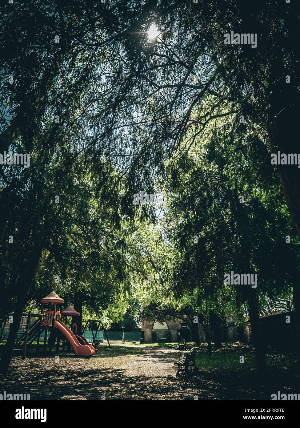 Woodlandtrails hi-res stock photography and images - Alamy