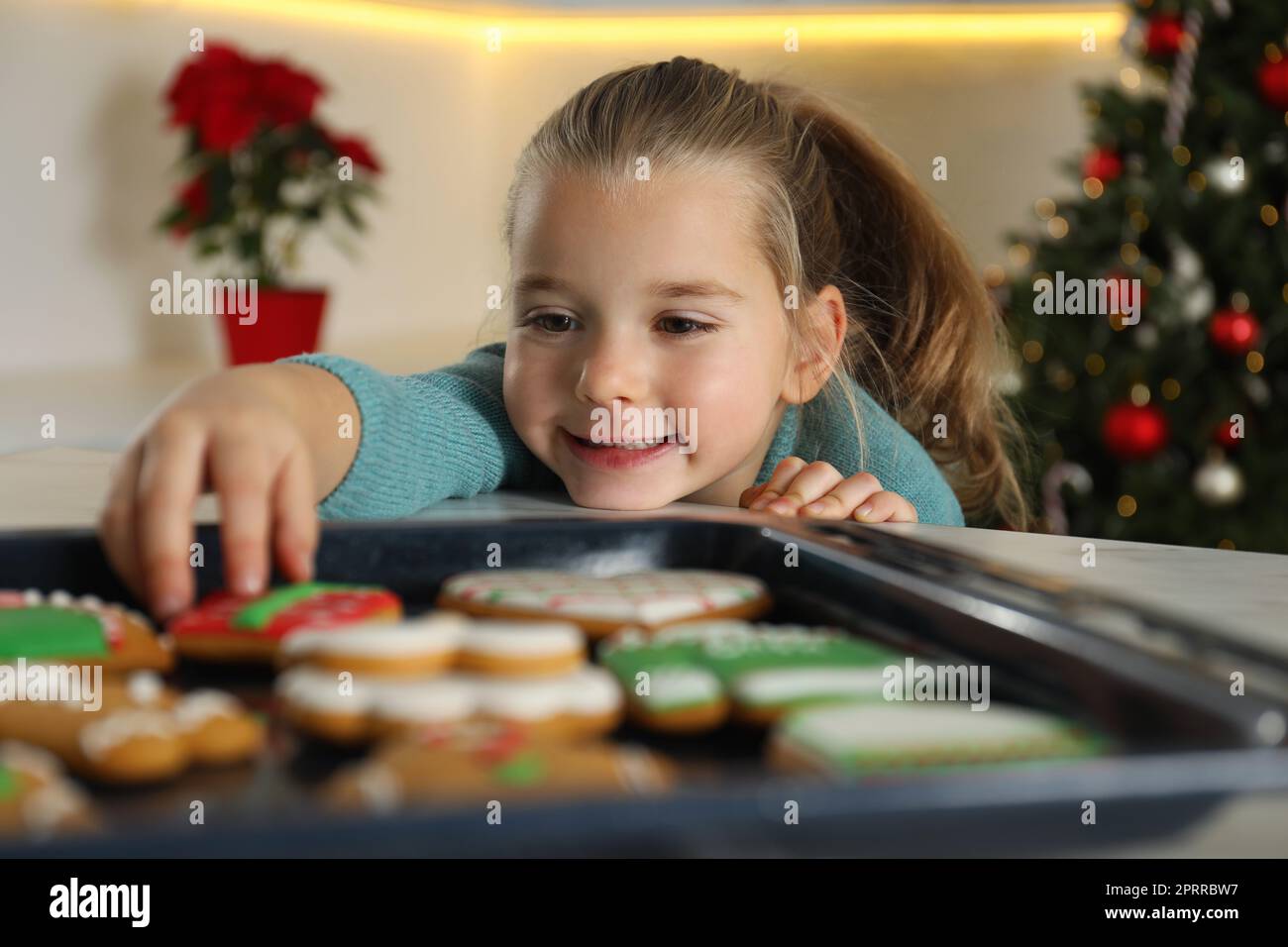Cute little girl taking fresh Christmas gingerbread cookie from baking ...