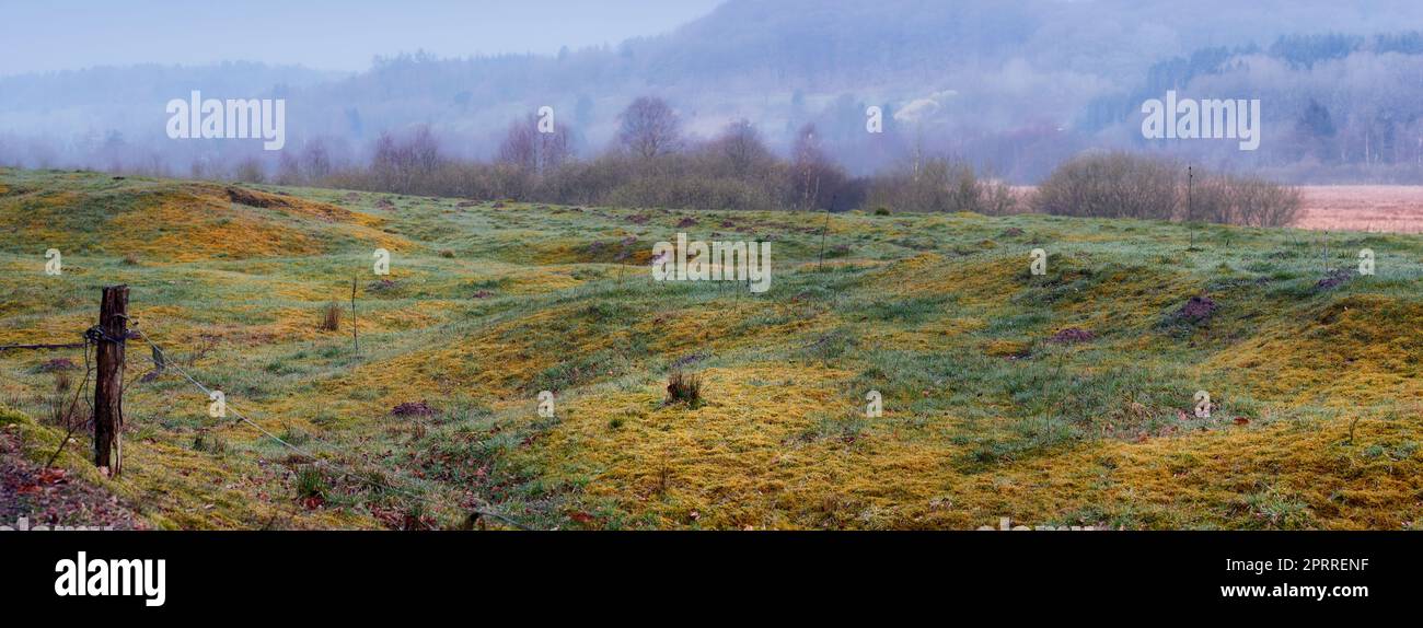 Bog body hi-res stock photography and images - Alamy