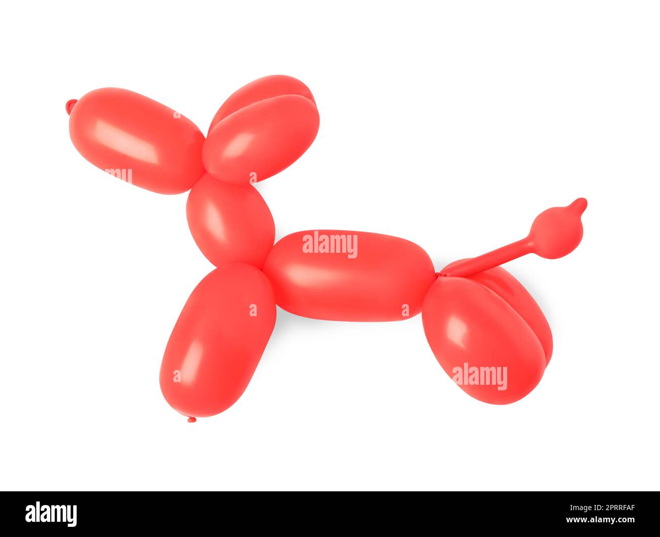 Red dog figure made of modelling balloon on white background, top view ...