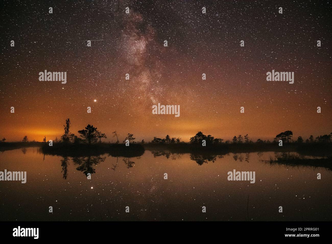 Swamp Bog Marsh Wetland Lake Nature Night Landscape. Night Starry Sky ...