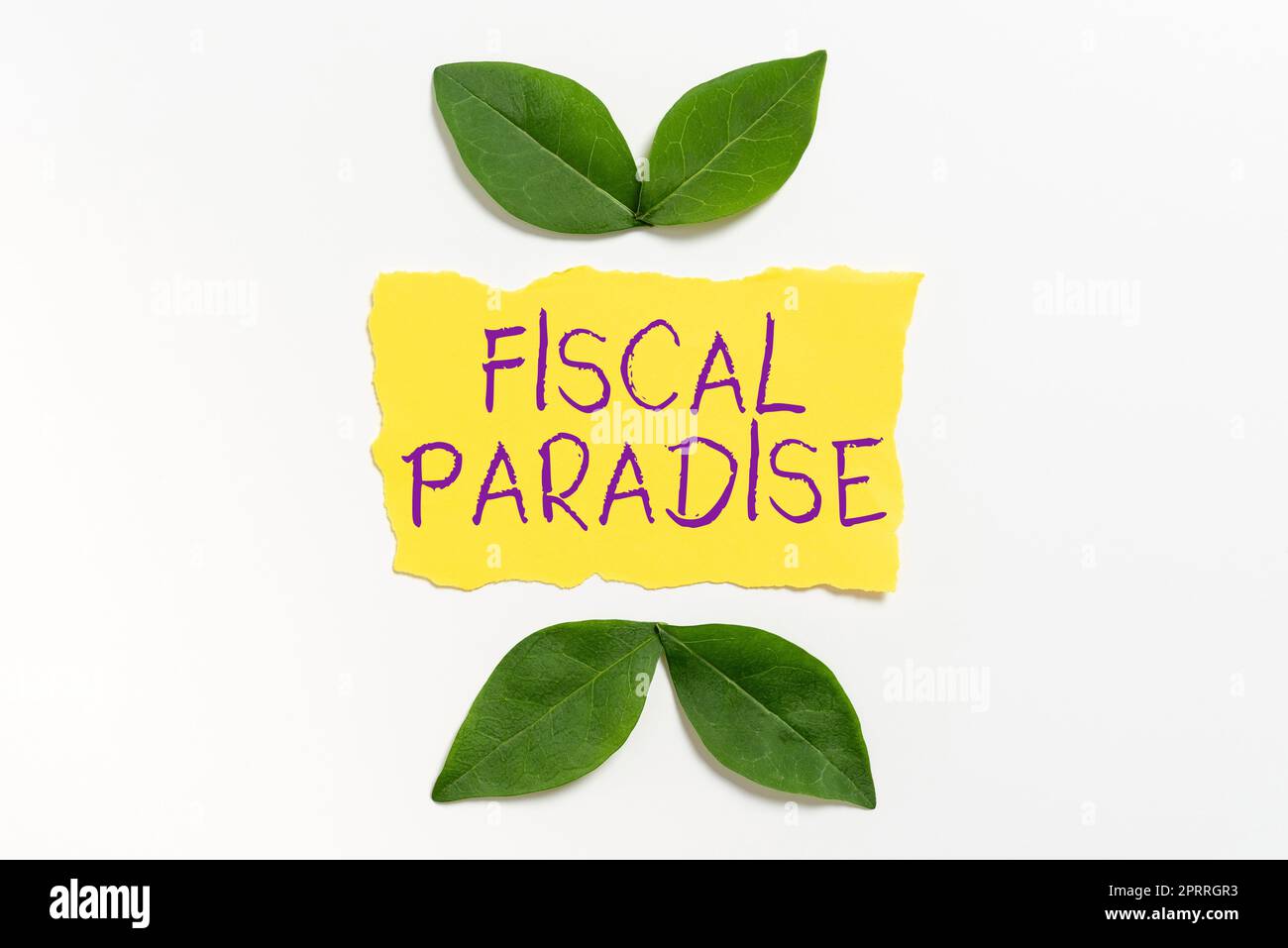 Conceptual display Fiscal ParadiseThe waste of public money is a great ...