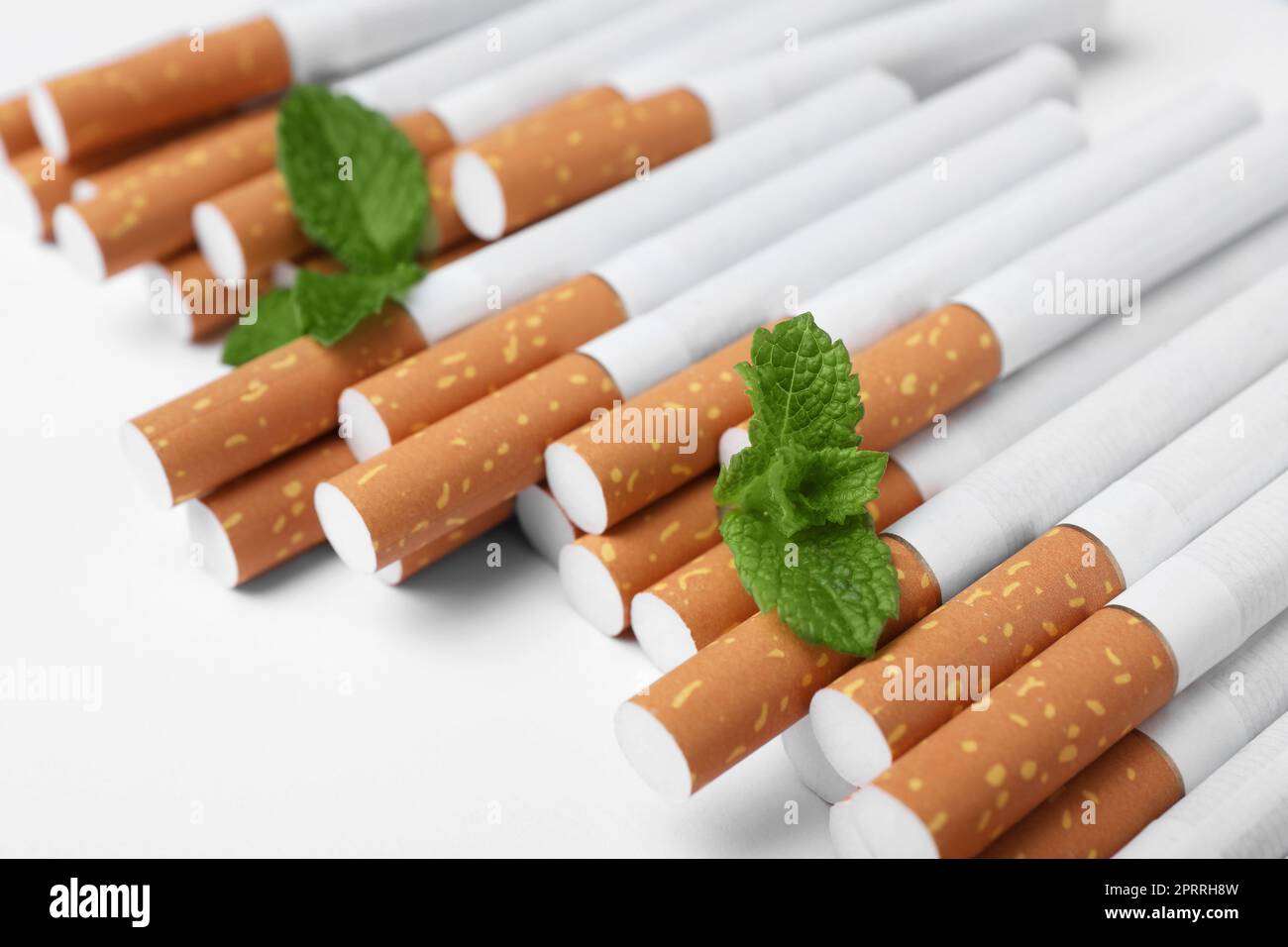 Menthol cigarettes and fresh mint leaves on white background, closeup ...