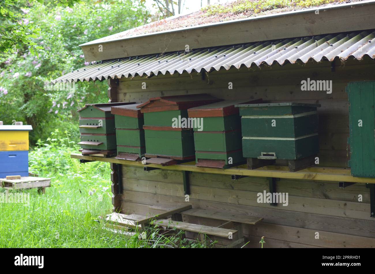 Group of beehives hi-res stock photography and images - Alamy