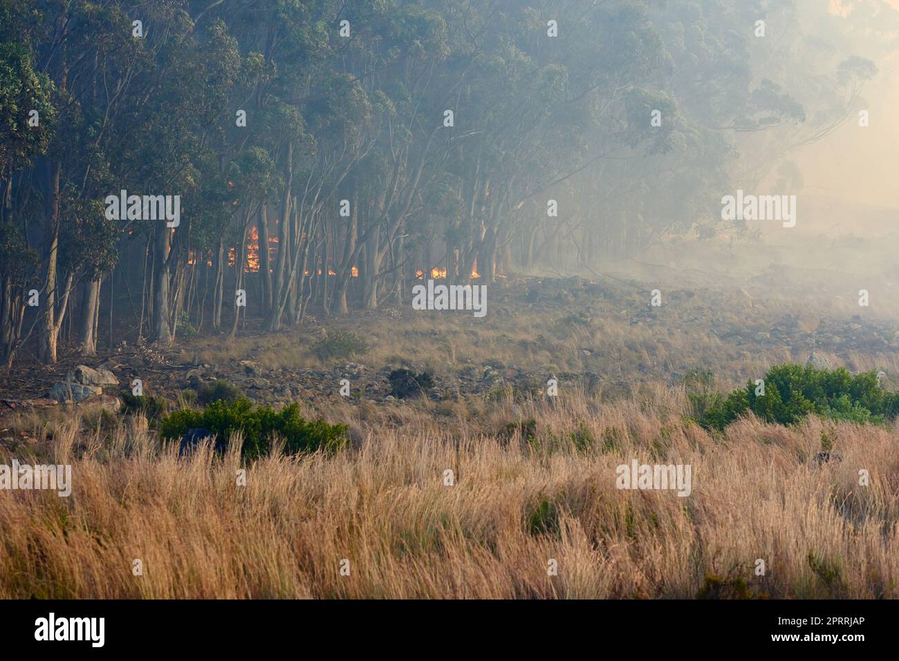 Fire flames distance nobody hi-res stock photography and images - Alamy