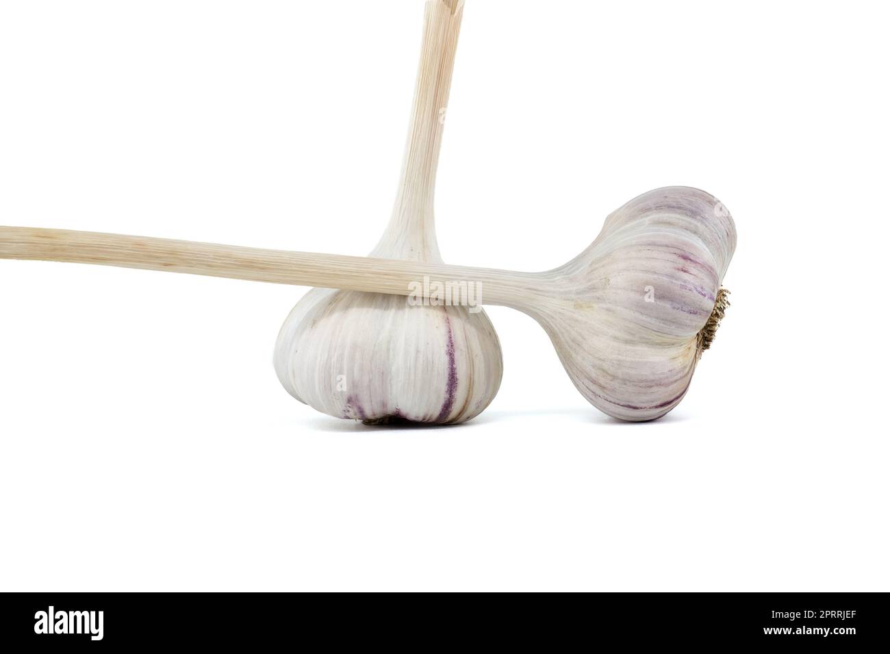 Garlic bulbs in close-up on white background Stock Photo - Alamy