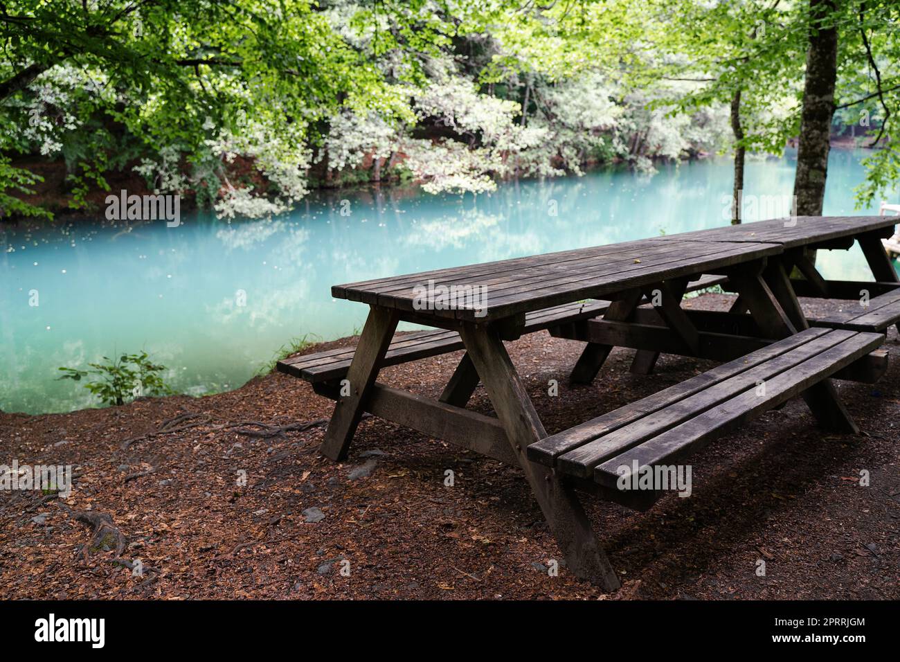 wooden sitting bench by a lake surrounded by forest in Yedigoller ...