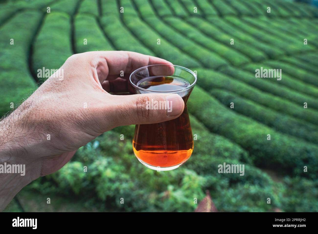 hand holding a traditional glass of Turkish black tea with rows of tea ...
