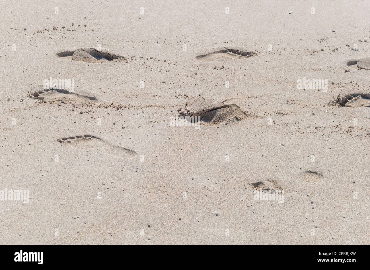 Closeup shot of footprints in the sand at the beach Stock Photo - Alamy