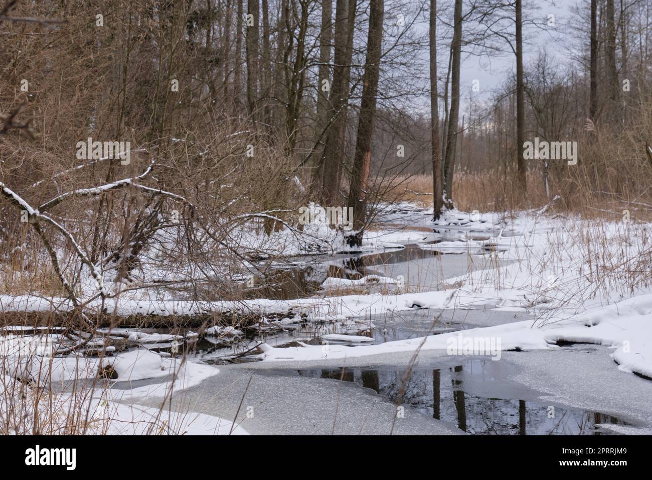 Landscape river reed hi-res stock photography and images - Alamy