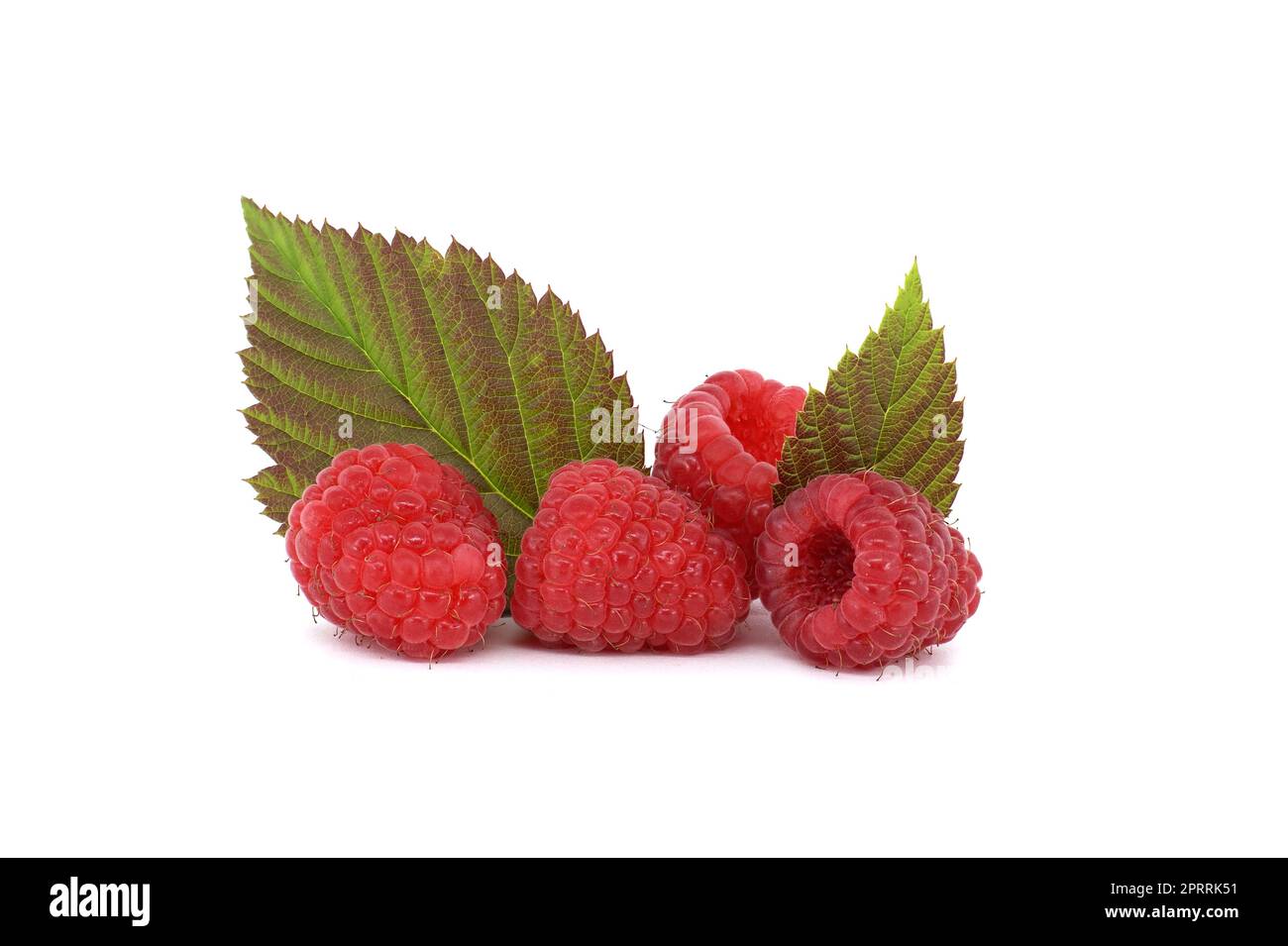 Raspberry with leaf isolated on white Stock Photo - Alamy